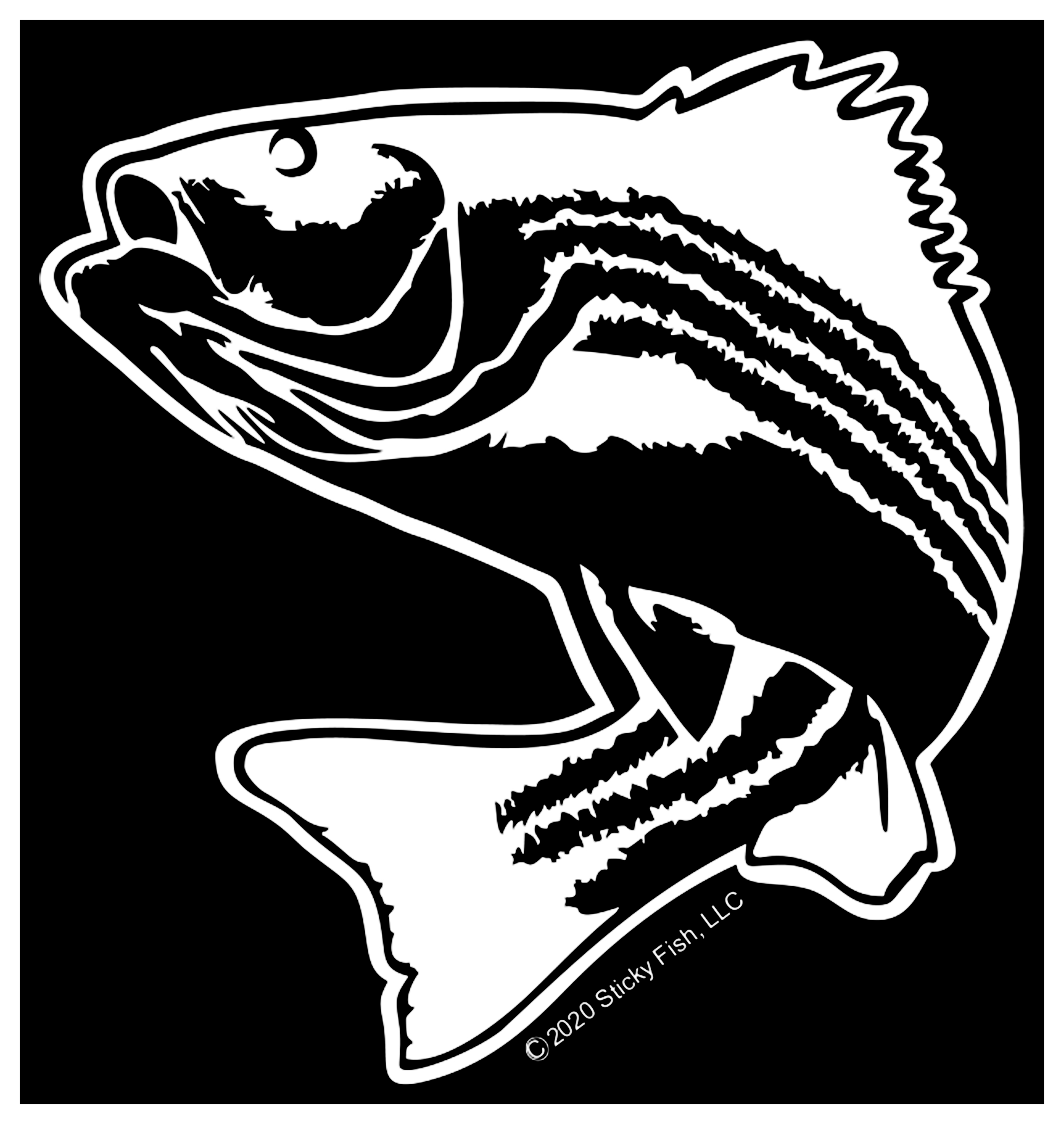 Sticky-Fish Striped Bass Action Vinyl Decal | Bass Pro Shops
